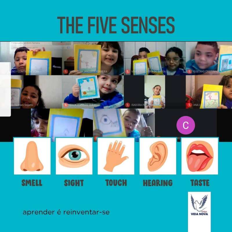 Bilíngue: The Five Senses - Colégio Vida Nova